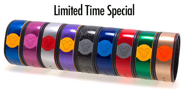 Custom Magic Bands - Magic Band Covers - MagicBand Decals